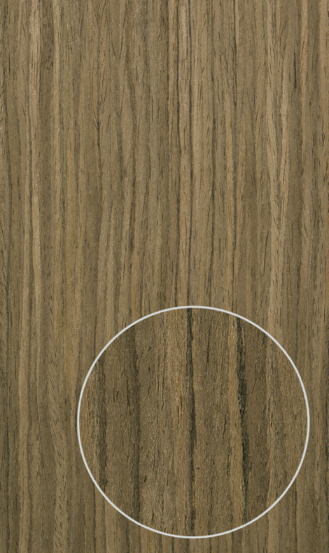 60405 American Walnut Crown Treefrog Veneer