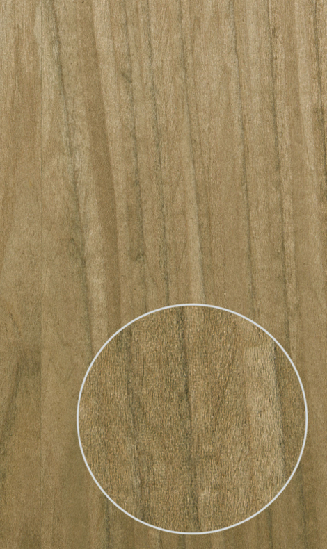 60405 American Walnut Crown Treefrog Veneer